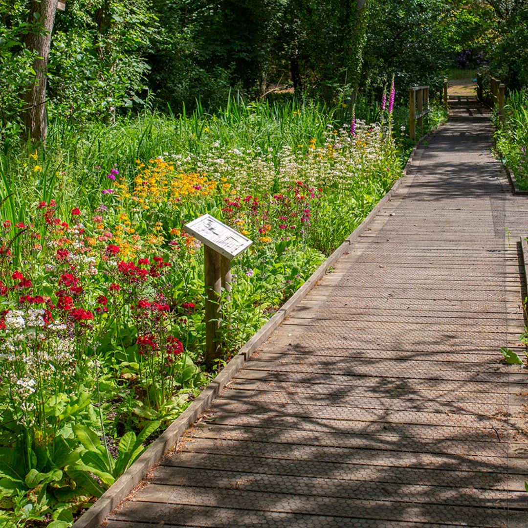 Fairhaven Woodland and Water Gardens